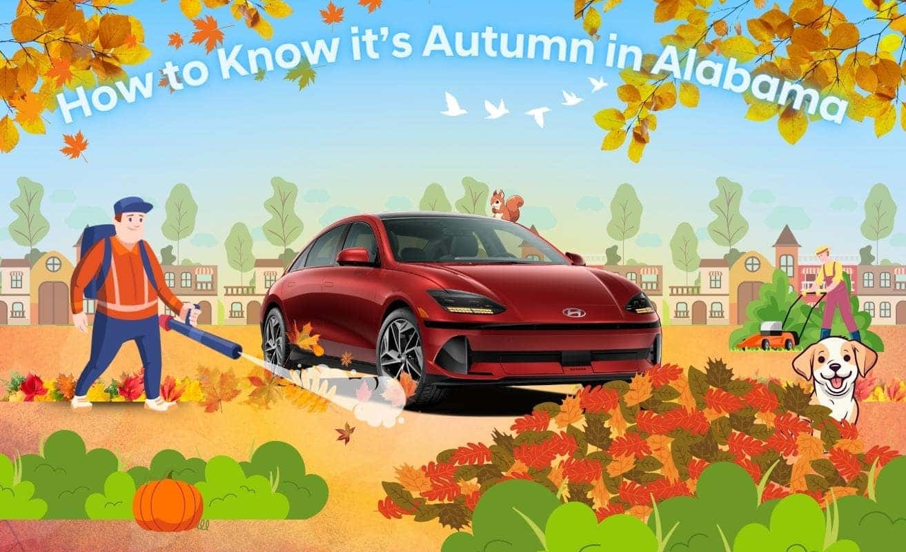 How to Know It's Autumn | New & Pre-Owned Vehicle Dealership