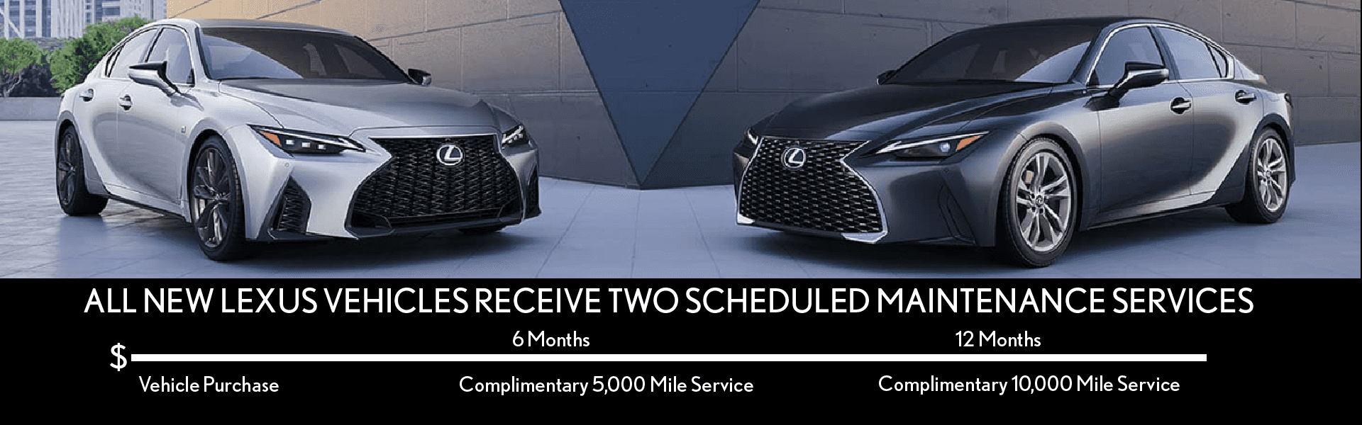 Lexus of Clearwater | Lexus Dealer in Florida
