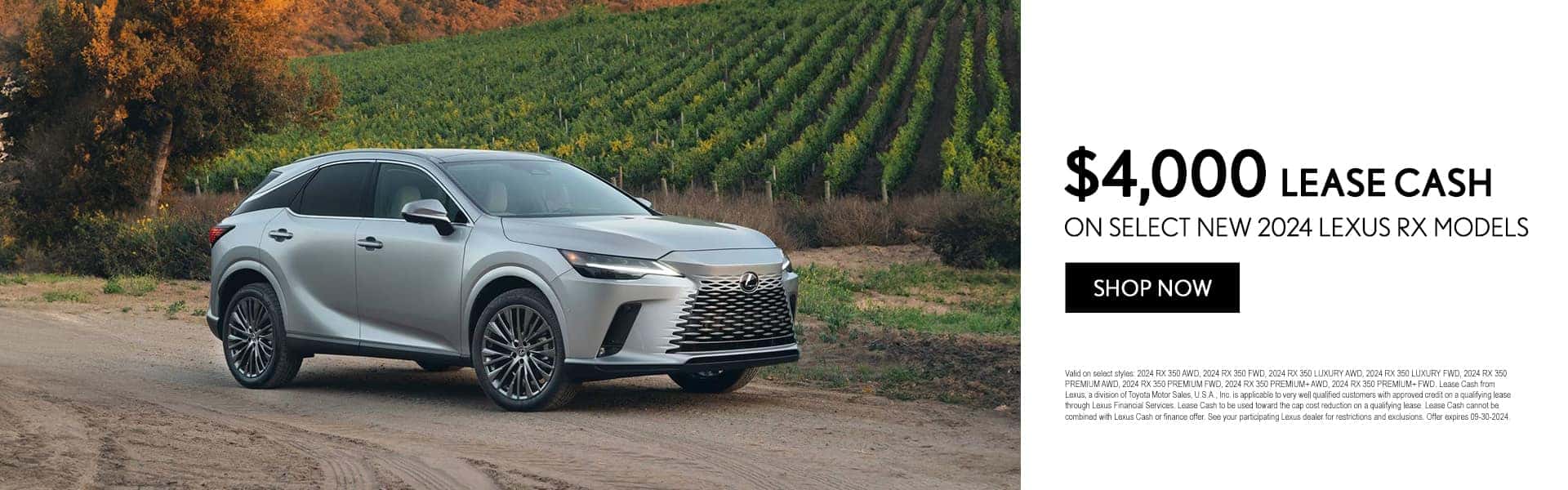 Lexus of Clearwater | Lexus Dealer in Florida