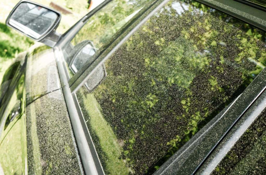 Protect The Outside Of Your Car This Season | Safford Mazda